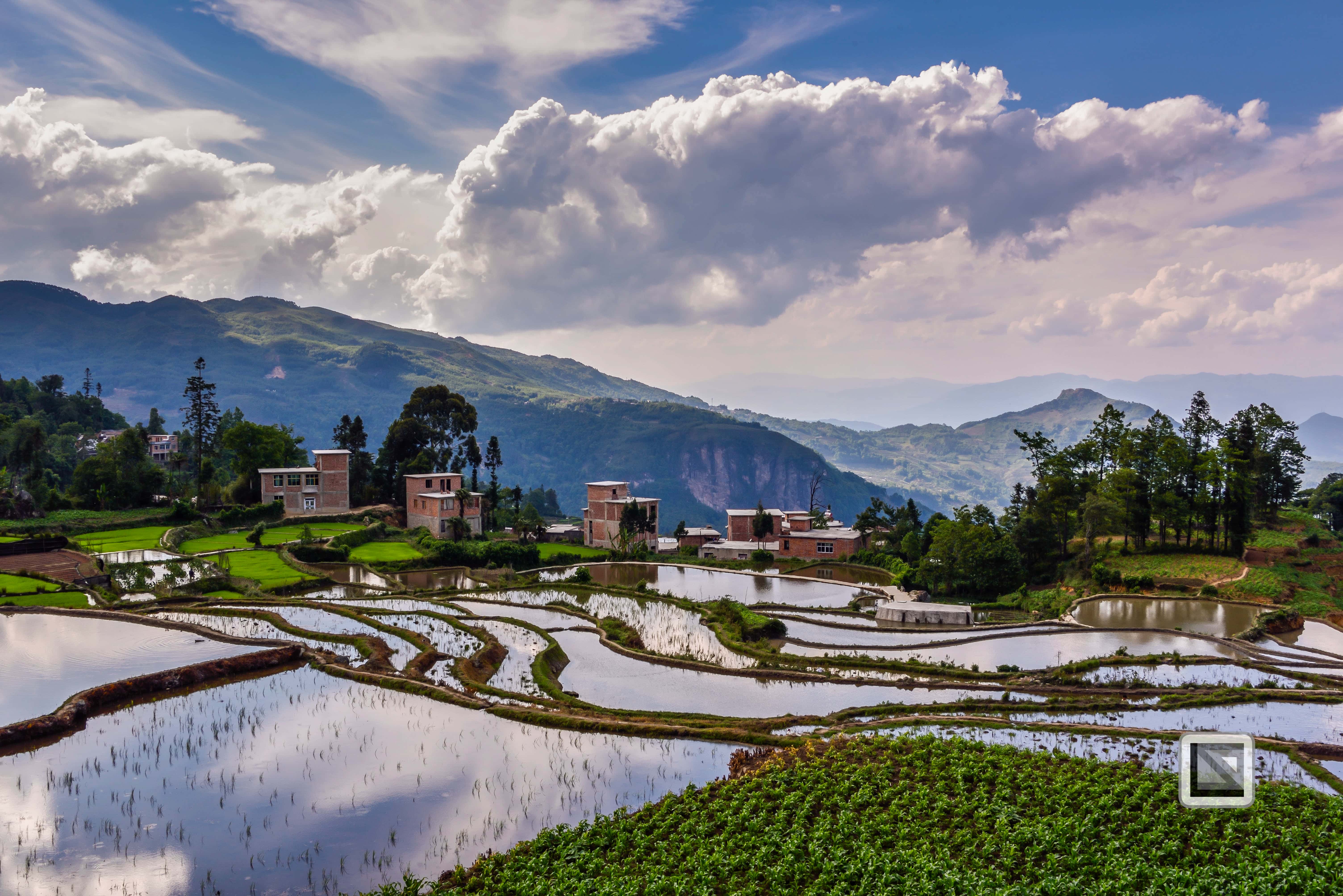 Yuanyang