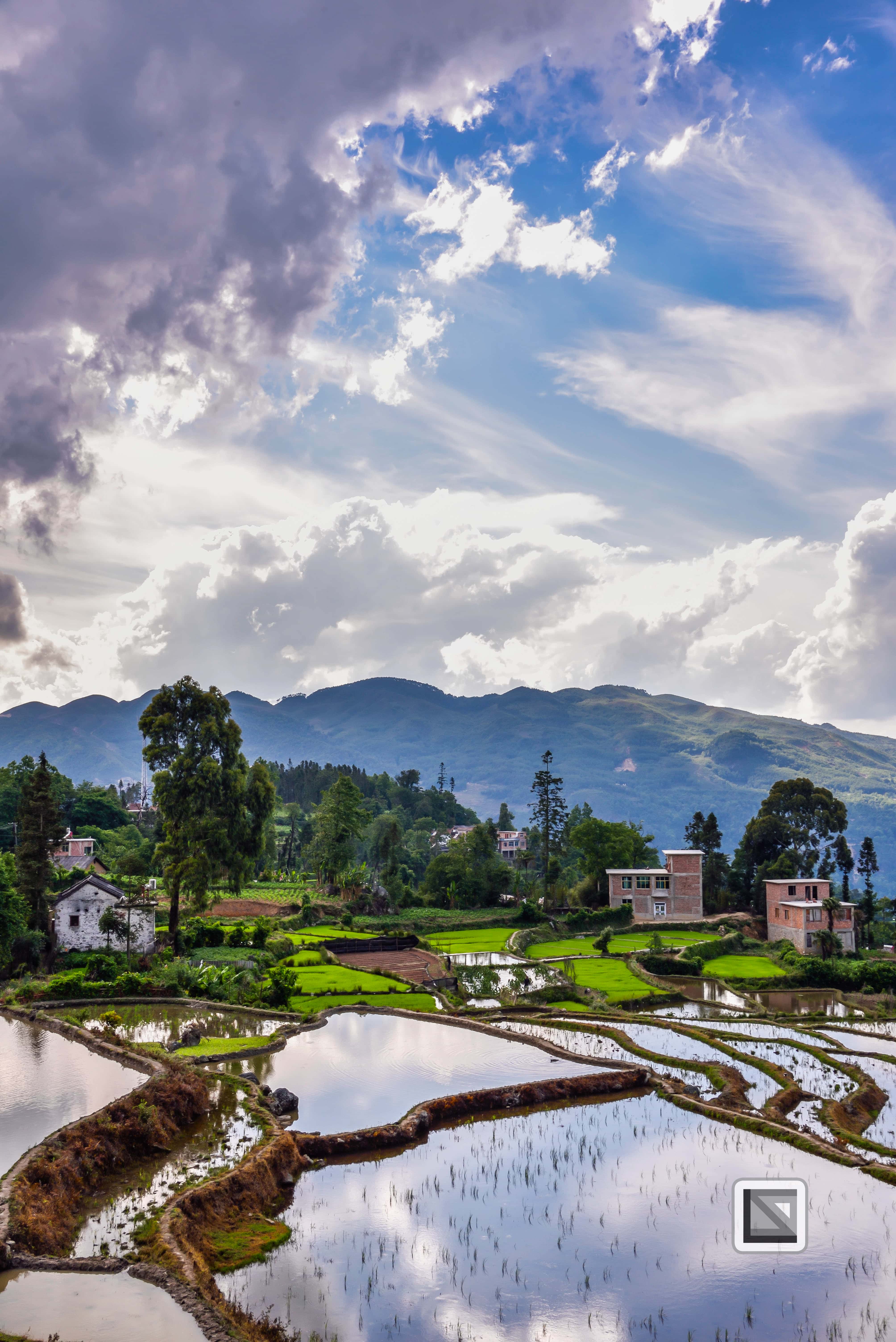 Yuanyang