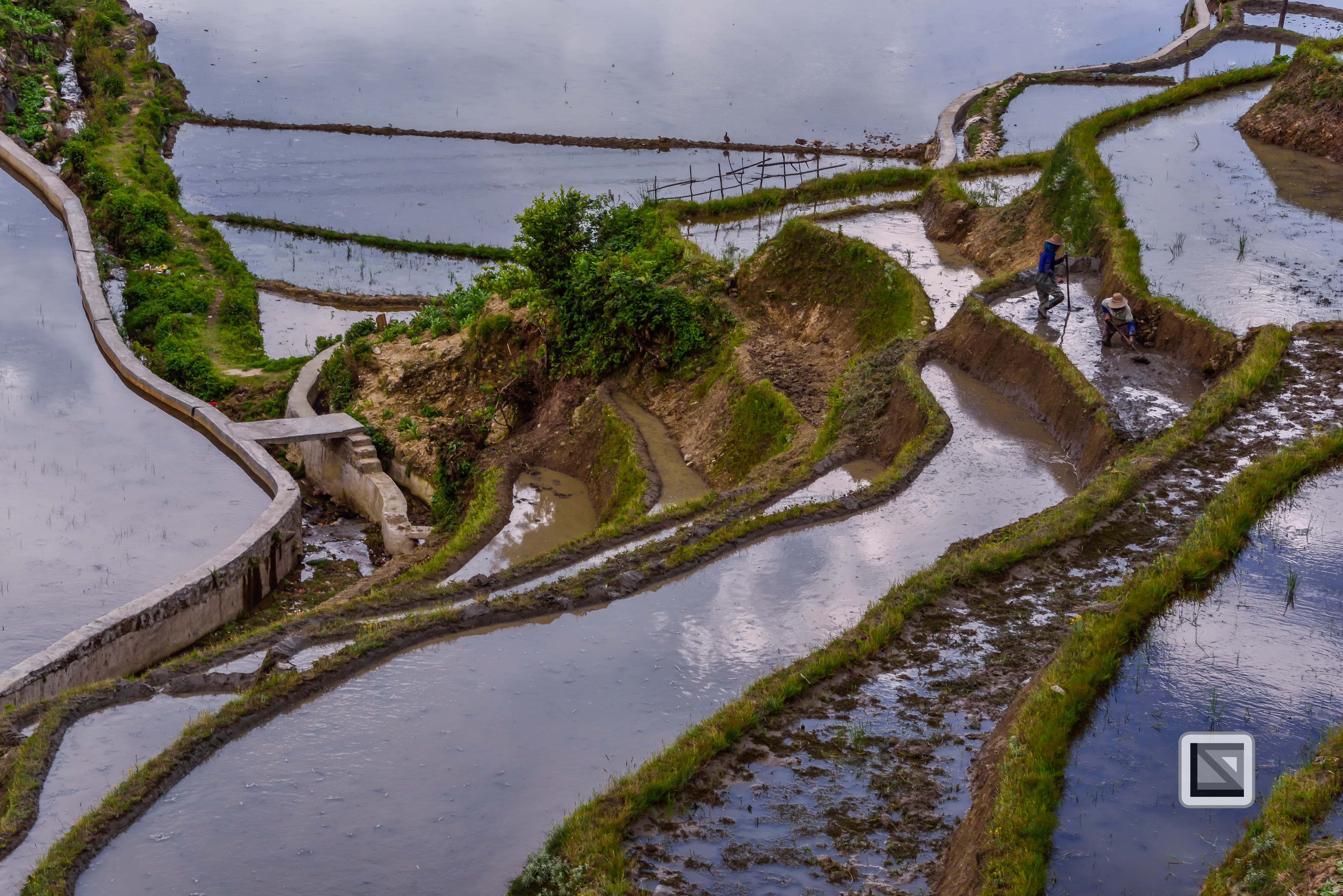 Yuanyang