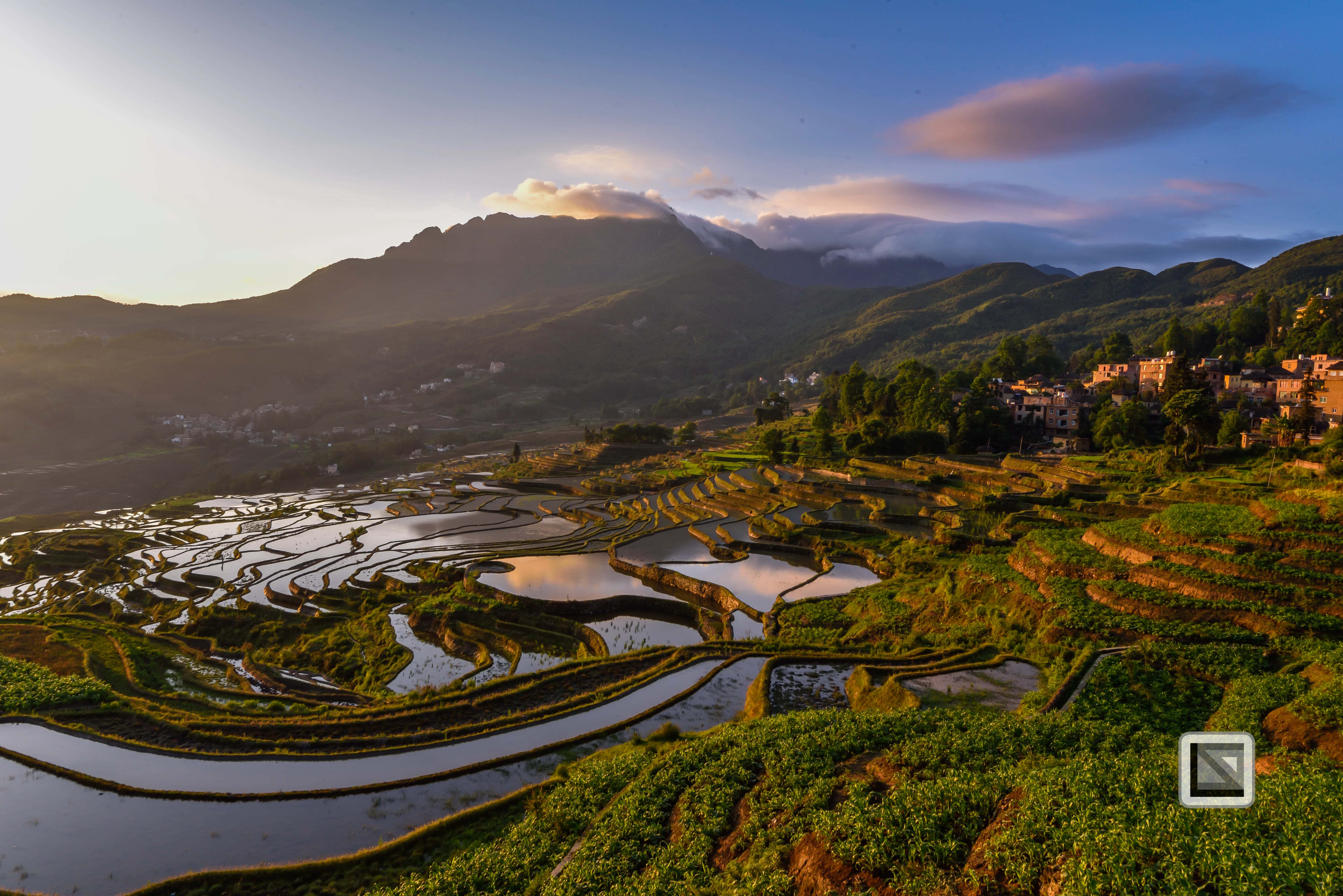 Yuanyang