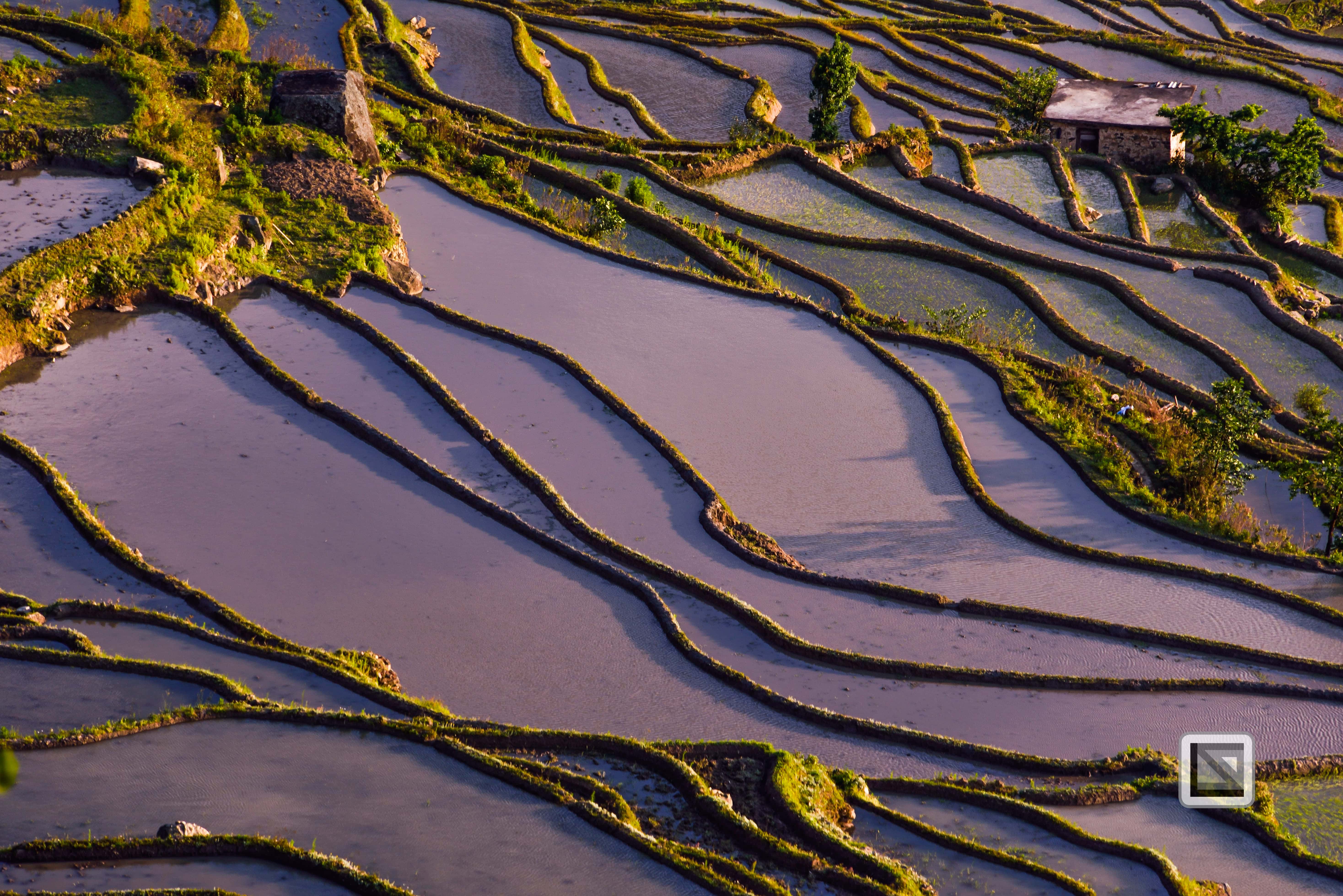 Yuanyang