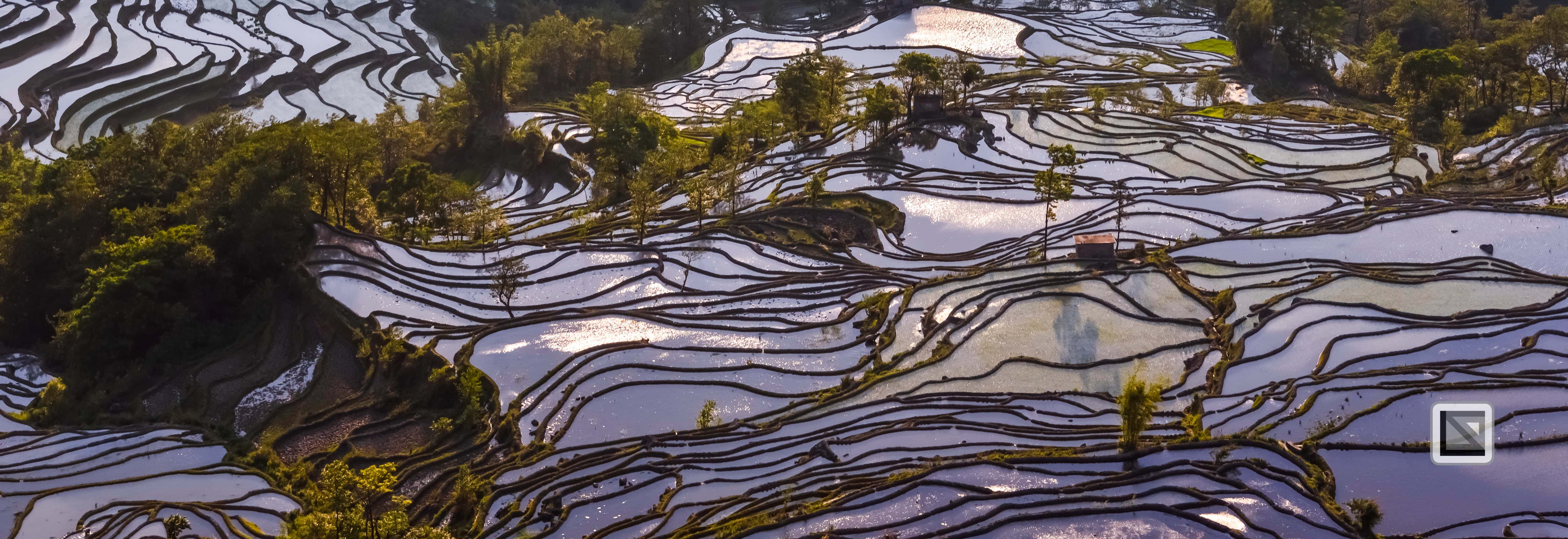 Yuanyang