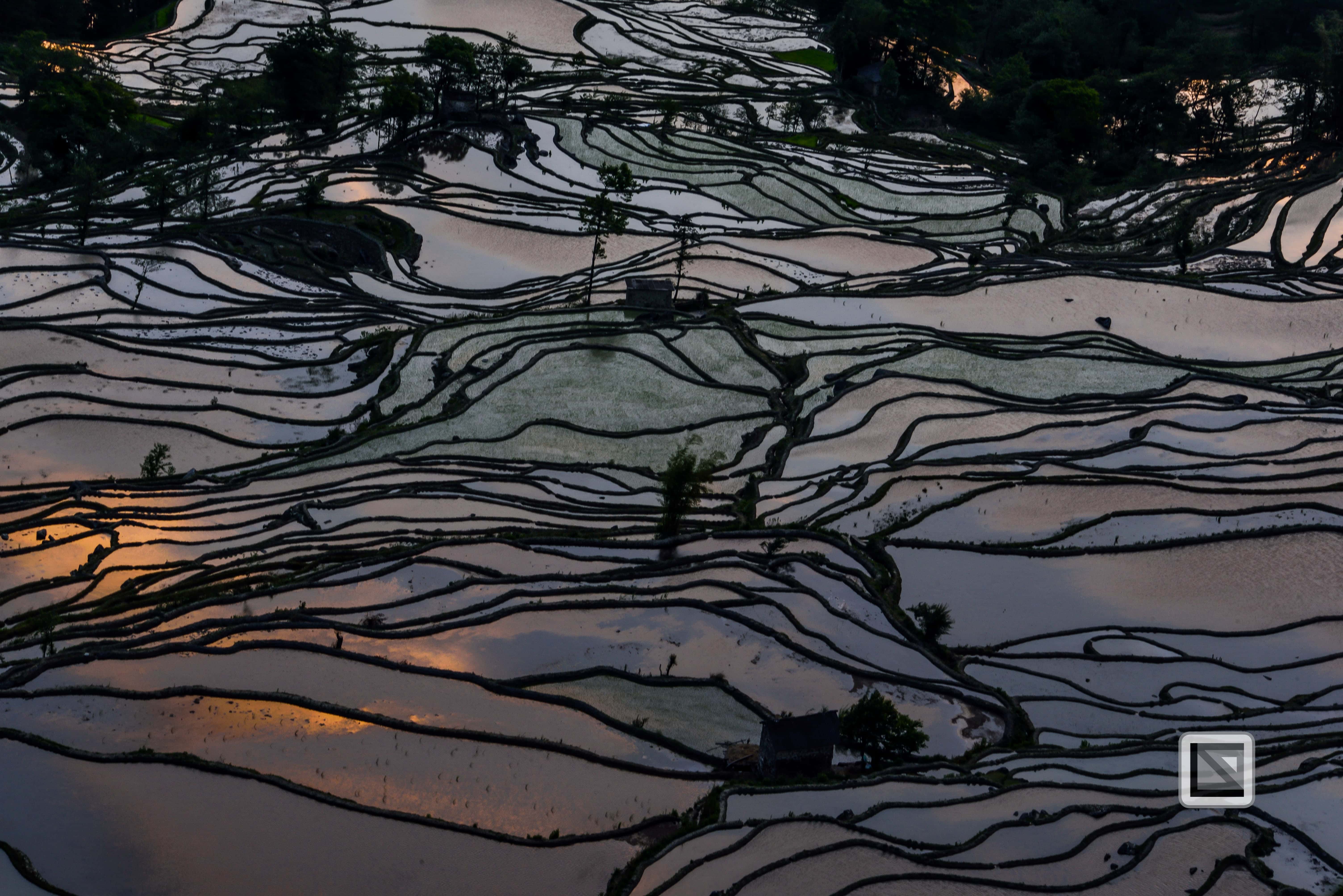 Yuanyang