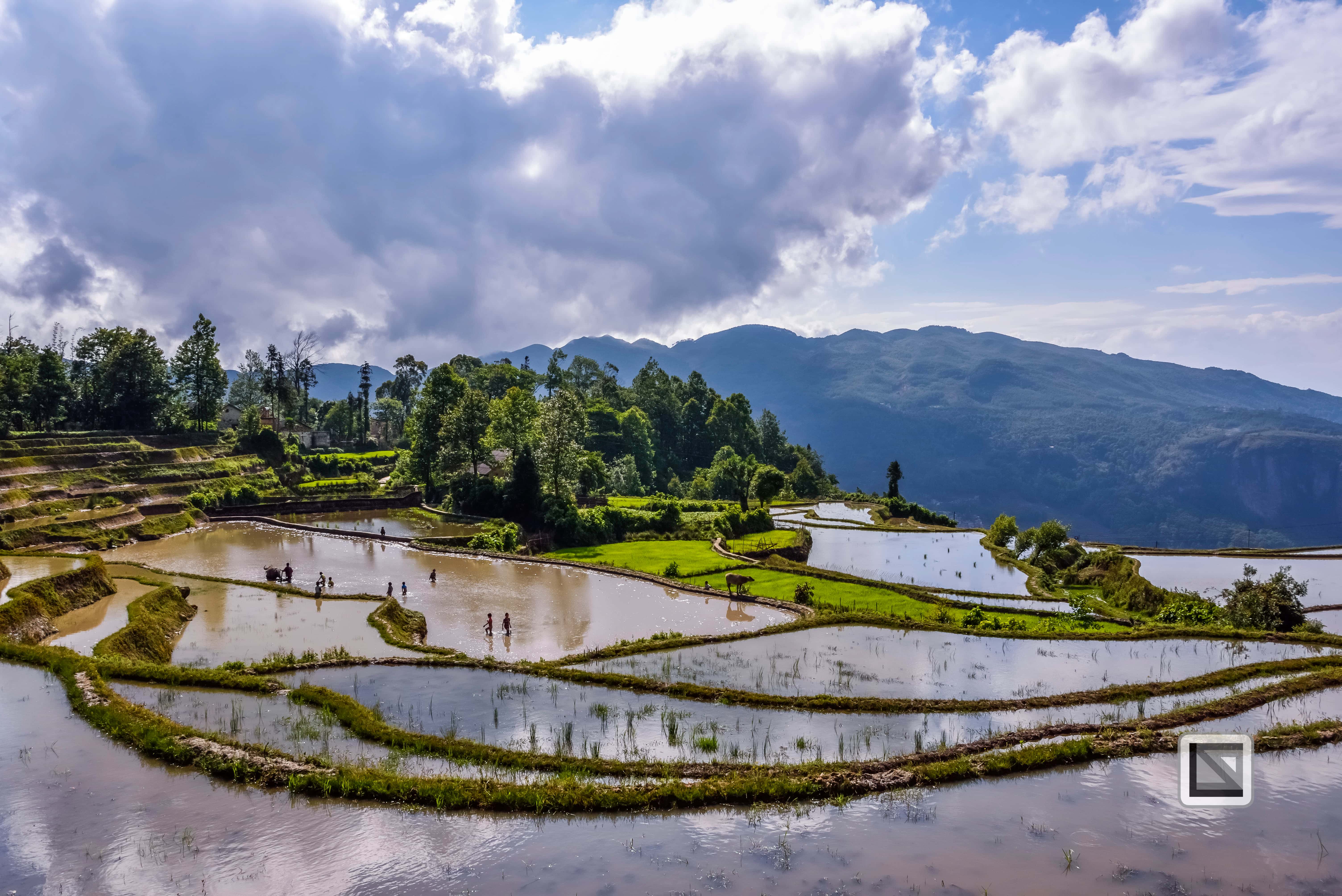 Yuanyang
