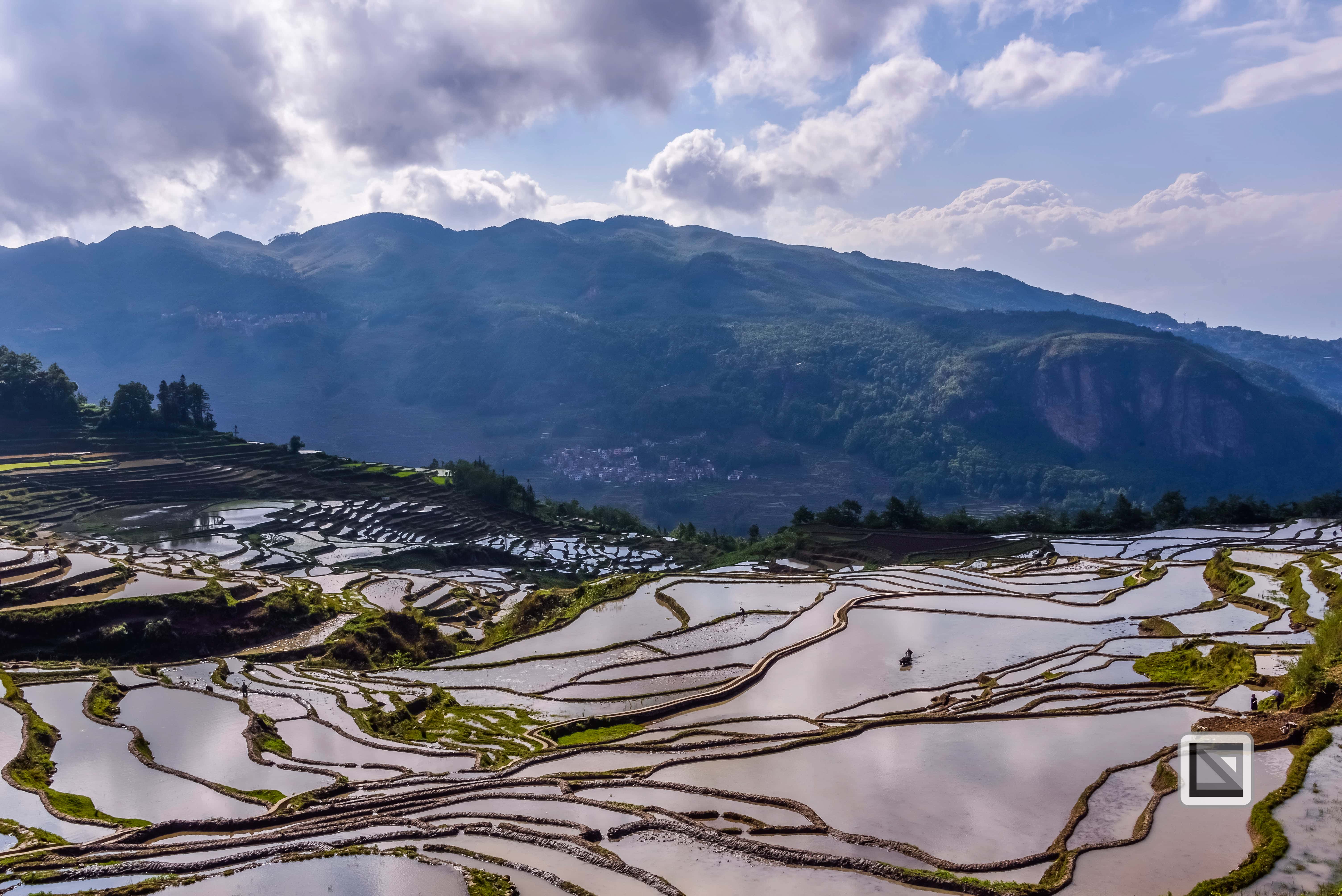 Yuanyang