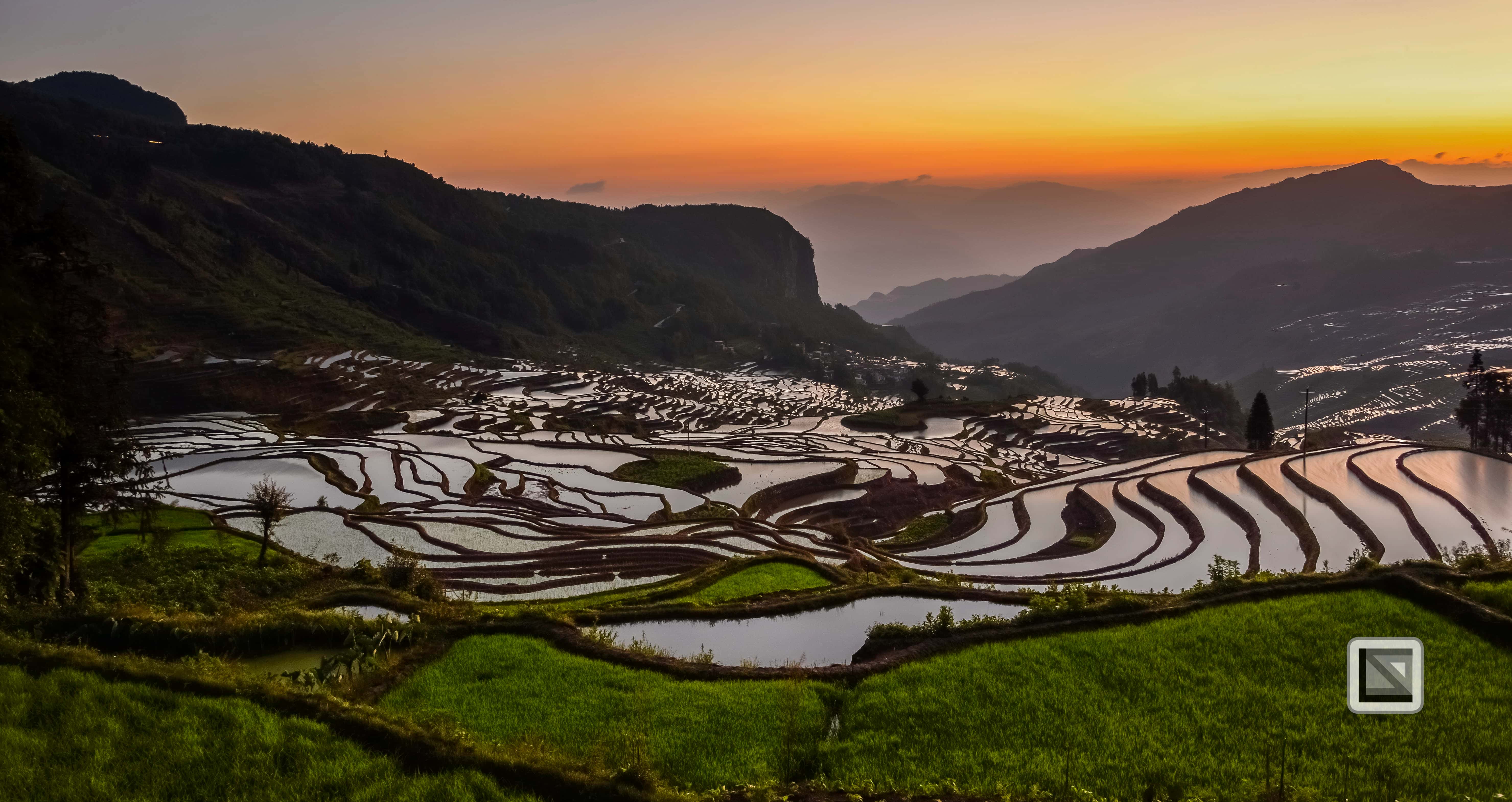 Yuanyang