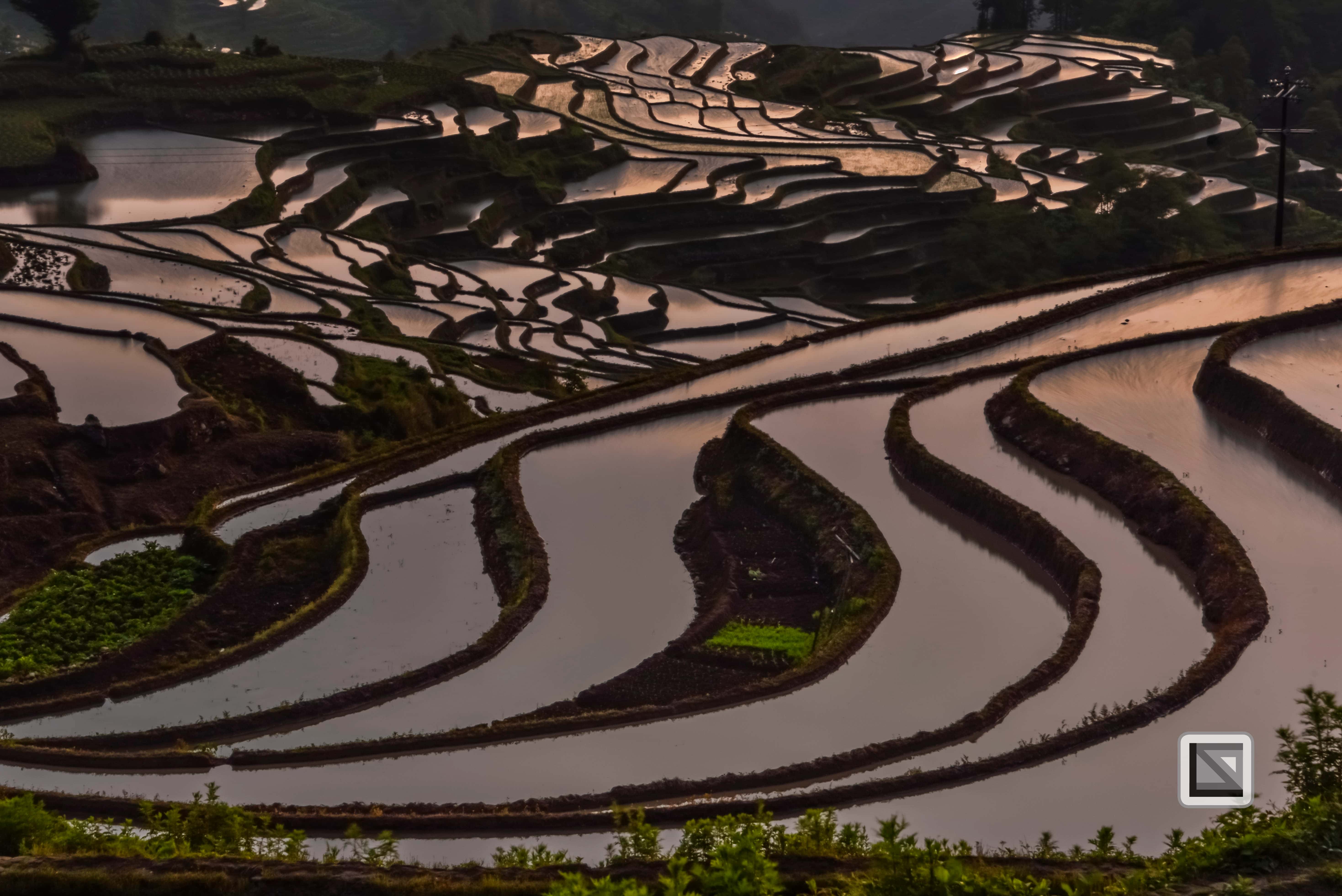 Yuanyang