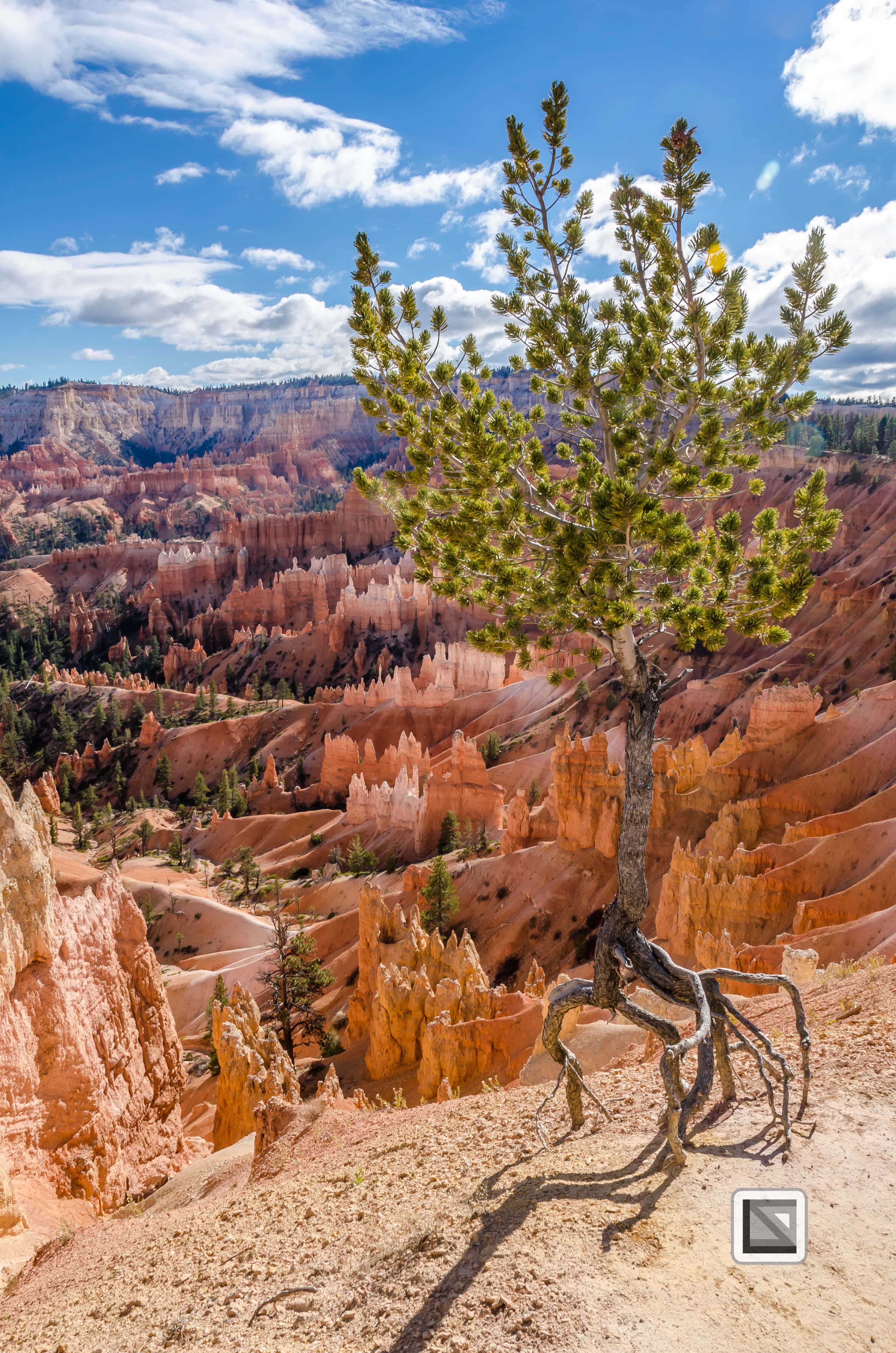 Bryce Canyon