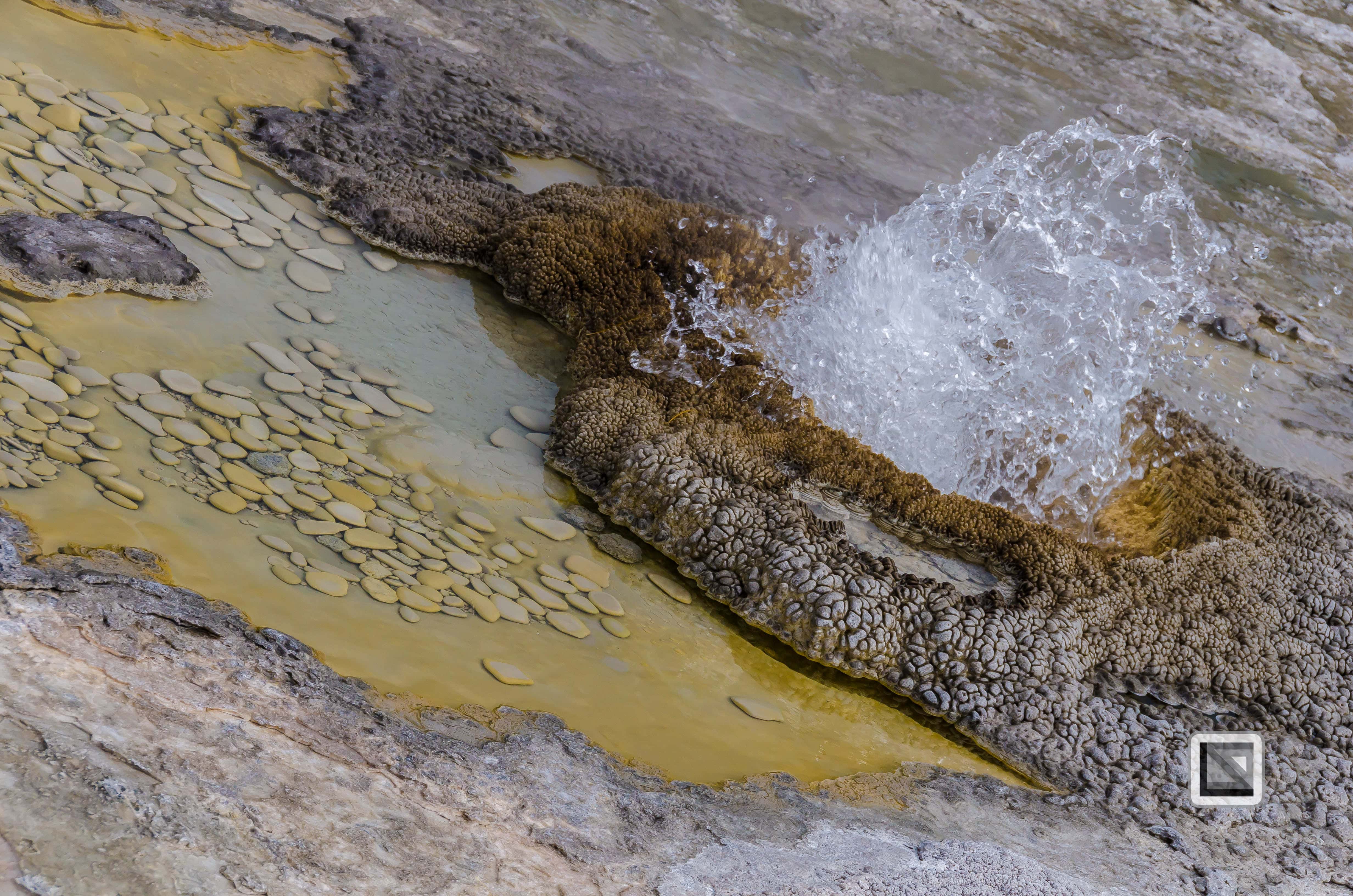Yellowstone National Park