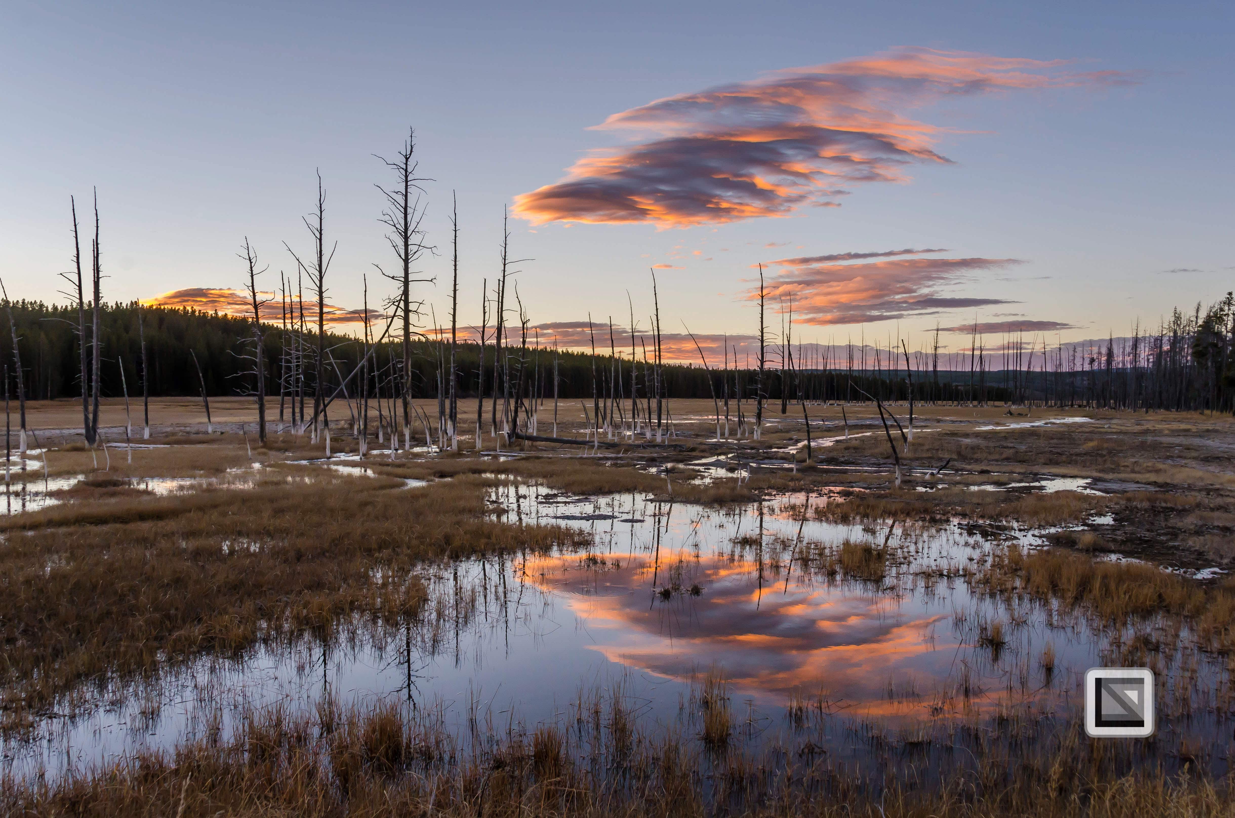 Yellowstone National Park