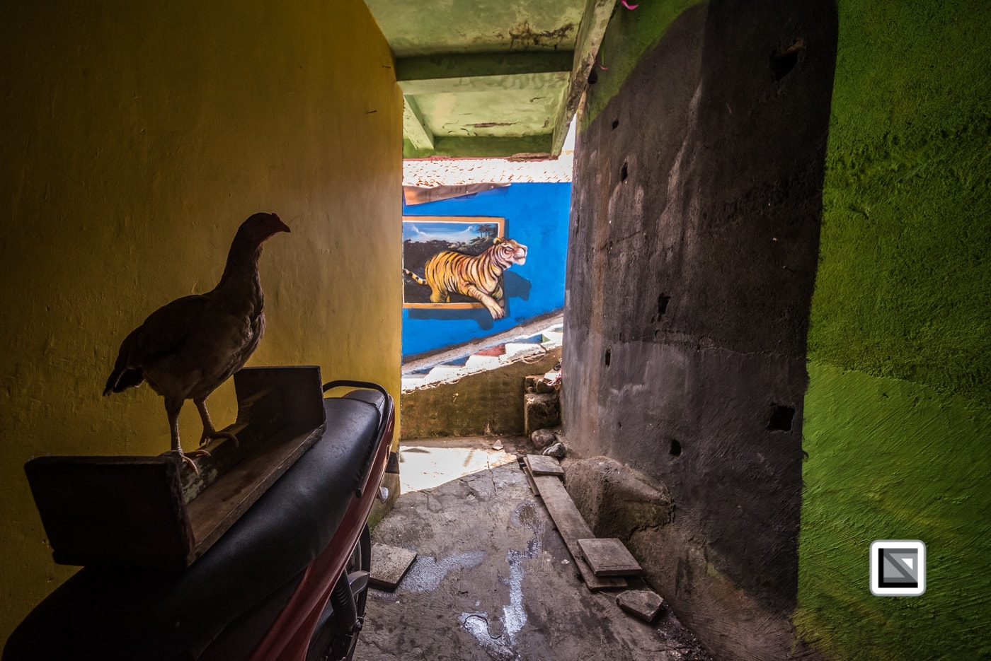 Kampung Warna-Warni – The rebirth of Jodipan and Tridi village