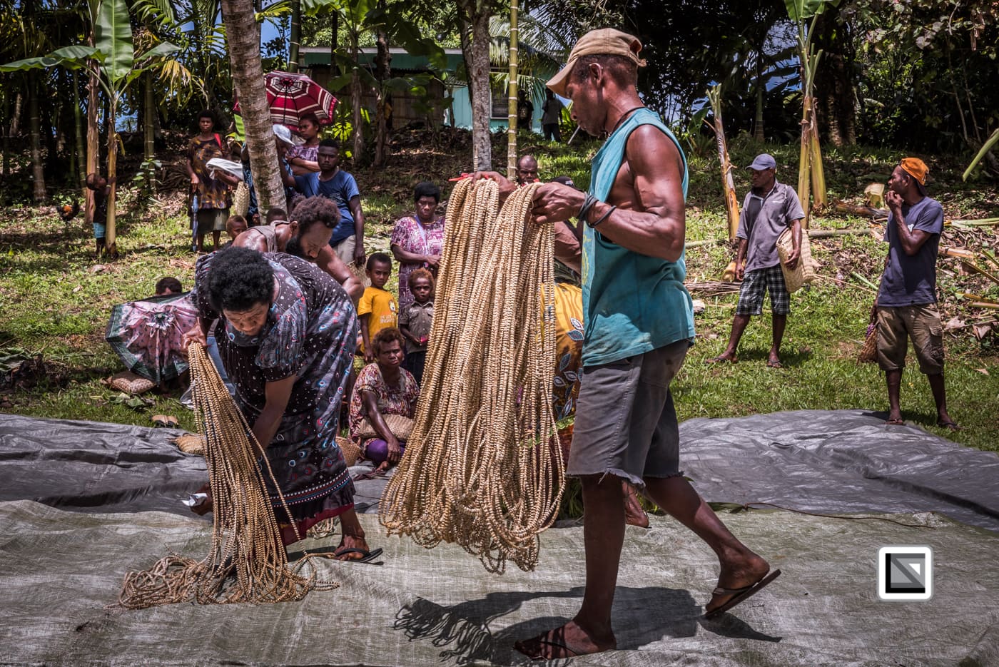 PNG-East_New_Britain-Tabu-Shell_Money-1107