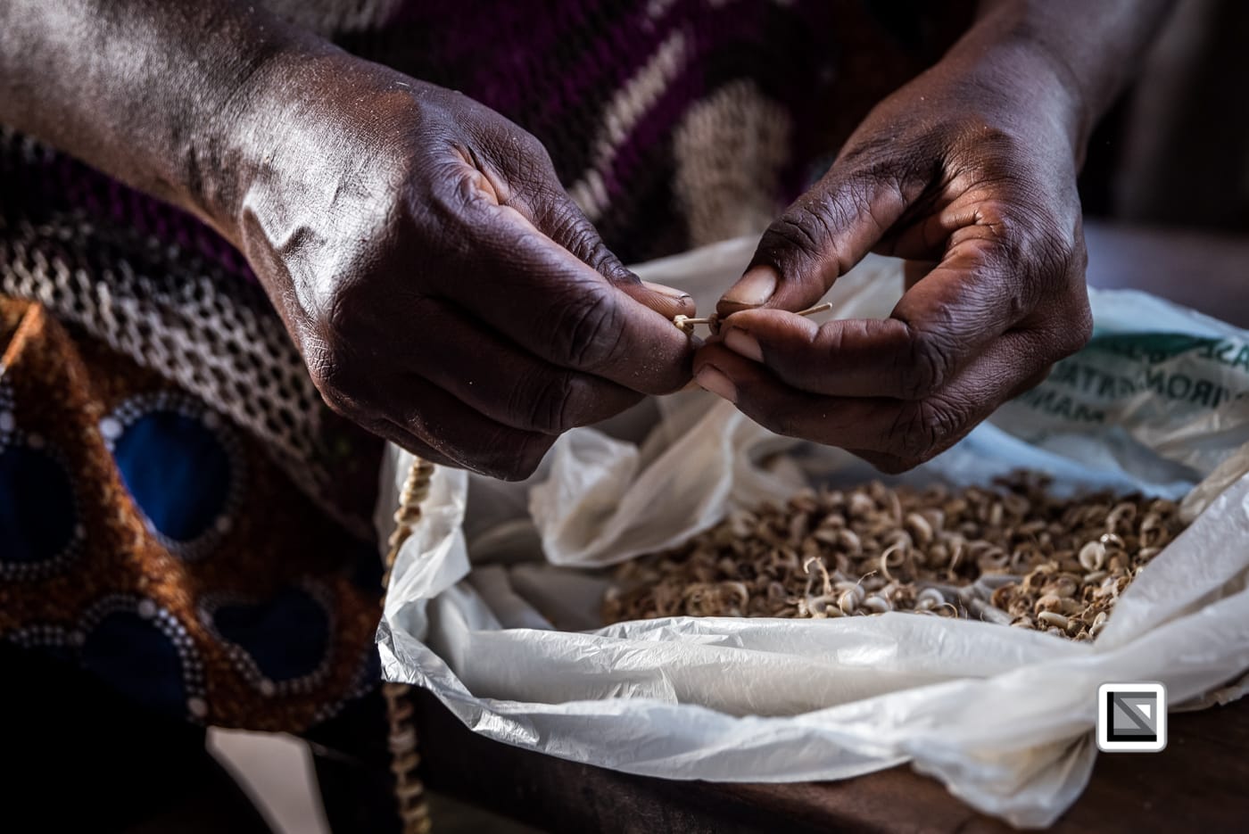 PNG-East_New_Britain-Tabu-Shell_Money-1258