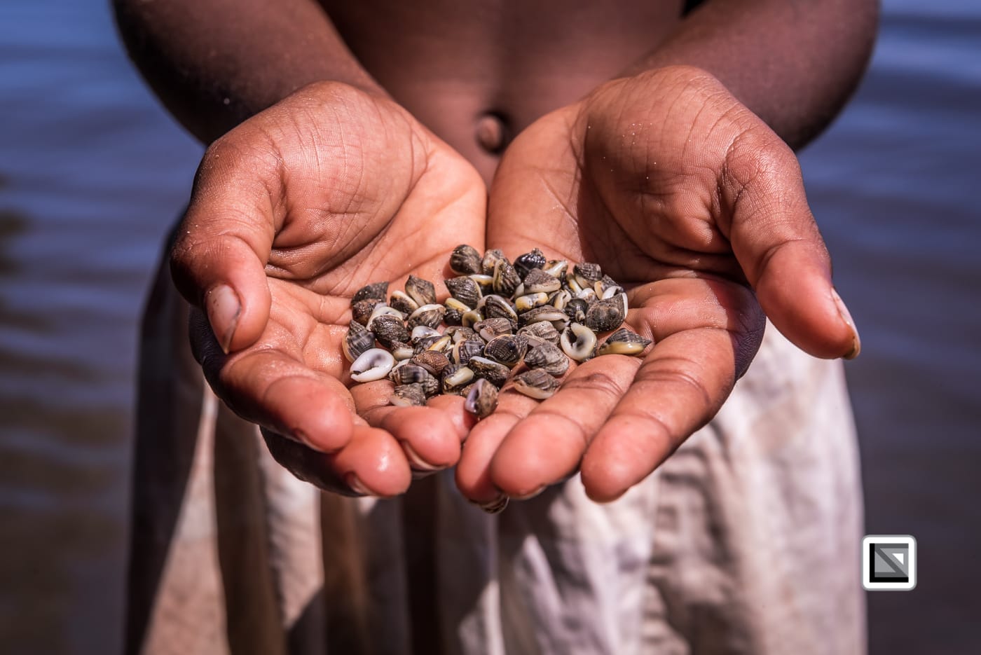 Tabu is Life! Shell money in Papua New Guinea