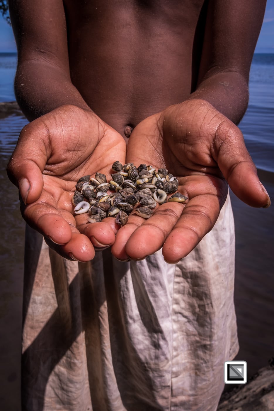 PNG-East_New_Britain-Tabu-Shell_Money-270-3