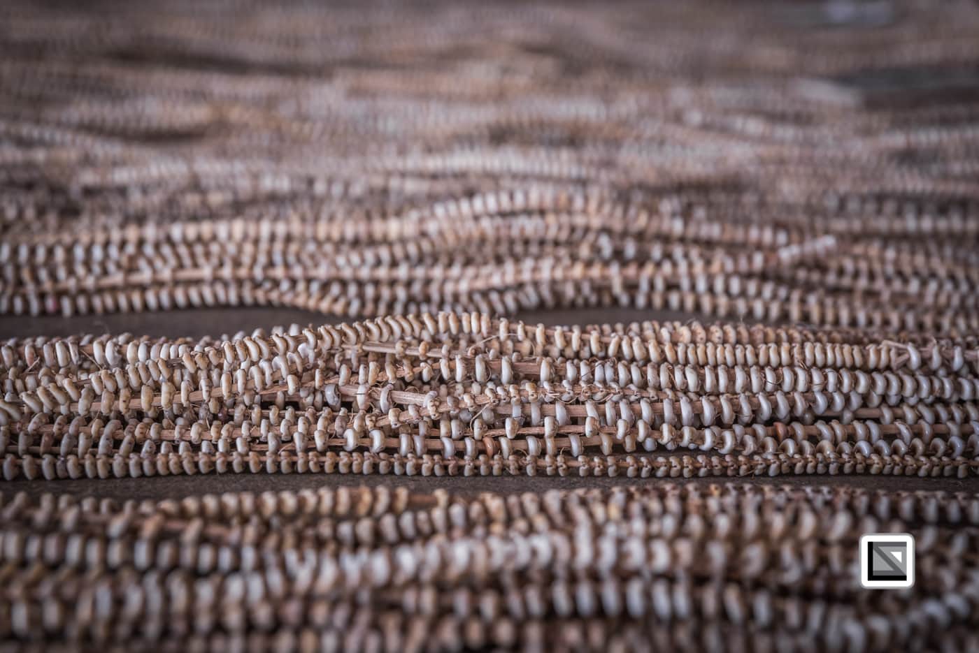 PNG-East_New_Britain-Tabu-Shell_Money-368