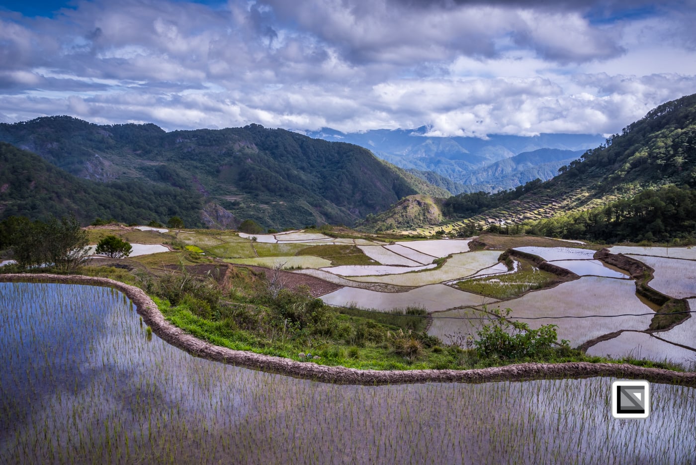 Philippines-Sagada-Aguid_Rice_Terraces-25
